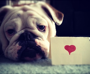 Revolutionary User Interface Design: Tackling Cognitive Overload in Graphics Software | HackerNoon