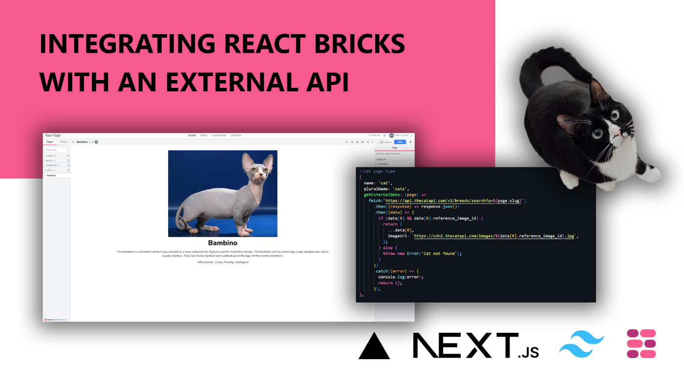 React Bricks Stories Data Wiki And Company News Hackernoon